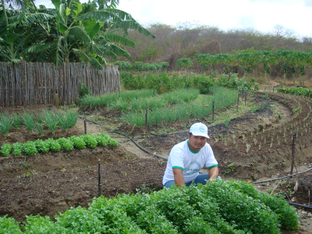 6 DE DEZEMBRO: DIA NACIONAL DO SERVIÇO DE EXTENSÃO RURAL - Empresa de ...