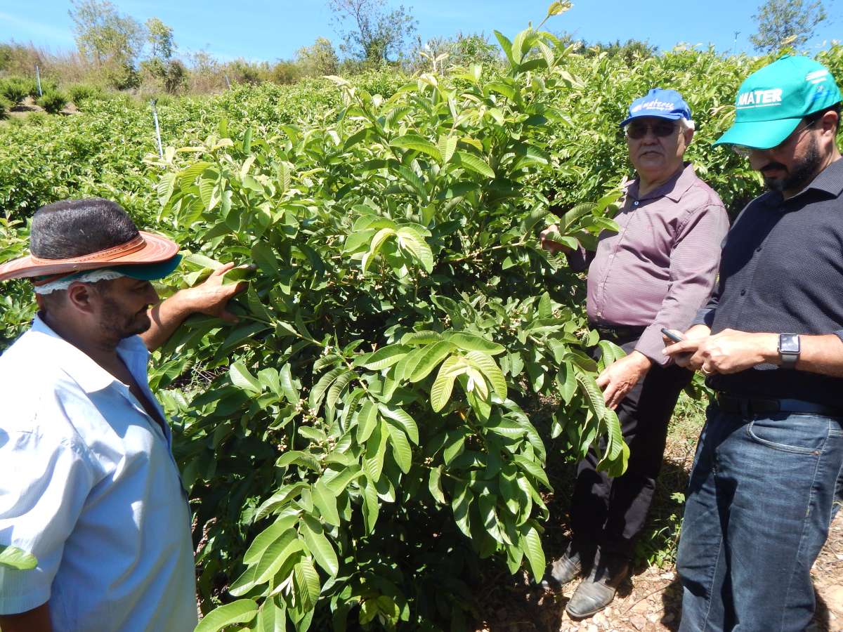 Técnicos da Anater destacam trabalho de cooperativas e Ematerce no Mais ...