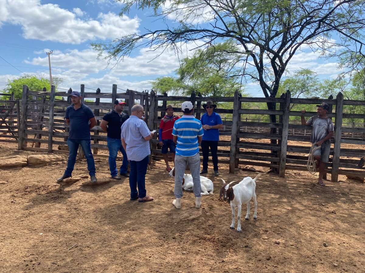 Tauá (CE): Ematerce realiza atividade preventiva no combate a doenças ...
