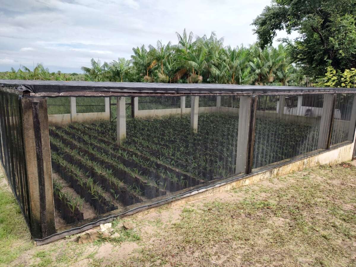 Paracuru-CE: Ematerce implementa ações econômicas em projeto de ...