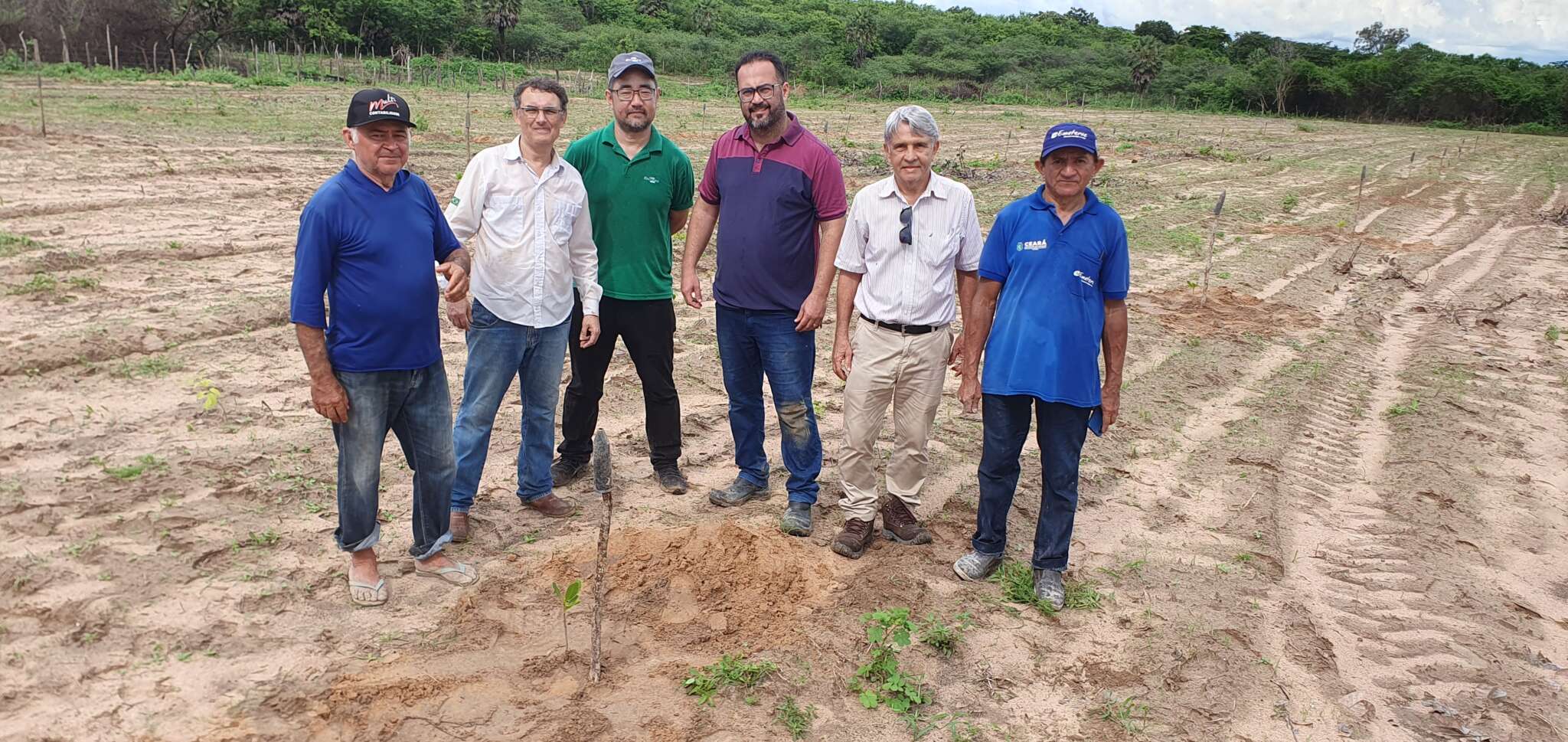Ematerce e Embrapa instalam Unidades Demonstrativas de Caju - Empresa ...